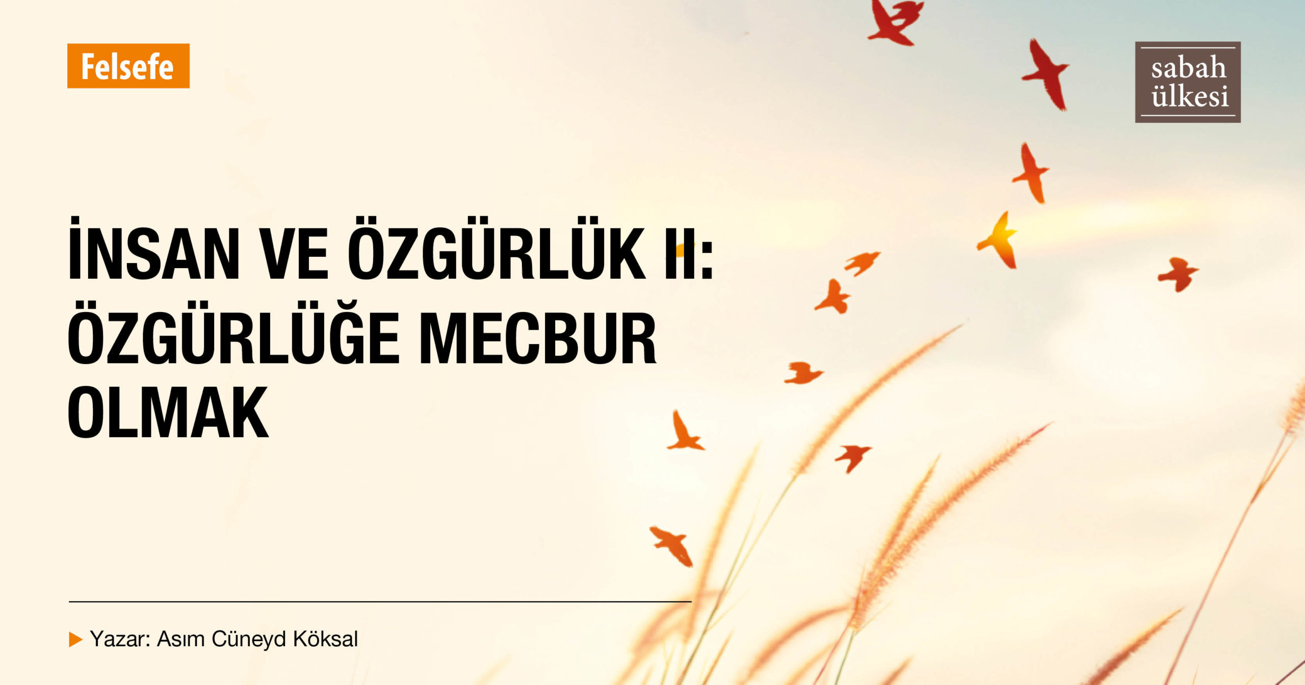 Sabah Ülkesi | Kültür-Sanat ve Felsefe Dergisi İNSAN VE ÖZGÜRLÜK II ...